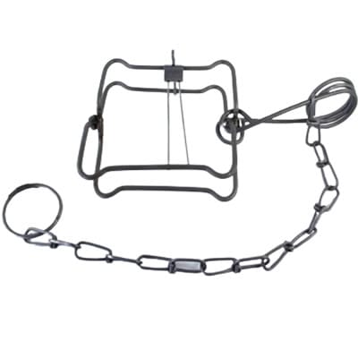 Conibear & Duke Body Grip Traps